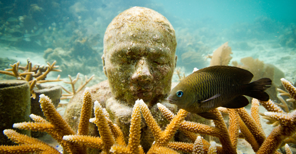 5 razones para sumergirse en el fantástico Museo Acuático de Cancún